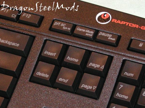 RAPTOR-GAMING K2 Keyboard | DragonSteelMods