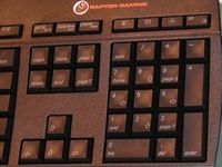 RAPTOR-GAMING K2 Keyboard | DragonSteelMods