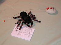 Uncle Milton RC Tarantula | DragonSteelMods