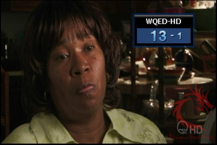 Digital Stream DTX9900 Digital to Analog Converter Box | DragonSteelMods